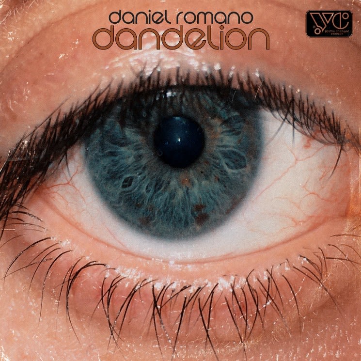 Here's Daniel Romano's Seventh Album of 2020 'Dandelion' │ Exclaim!