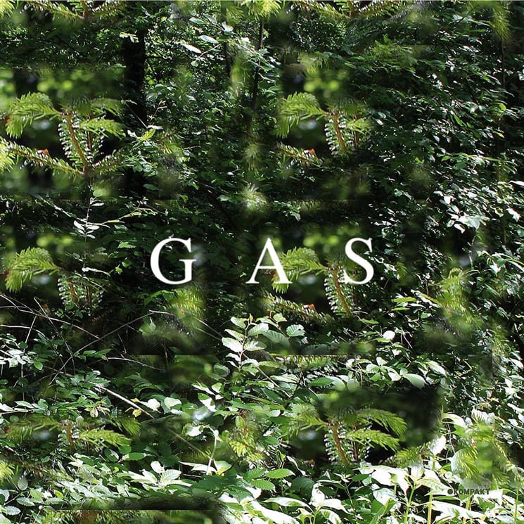 Wolfgang Voigt Details New GAS Album 'Der Lange Marsch' | Exclaim!