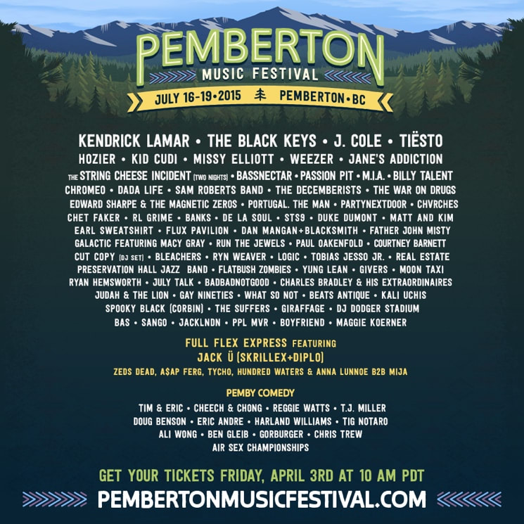 Music festivals 2015 store