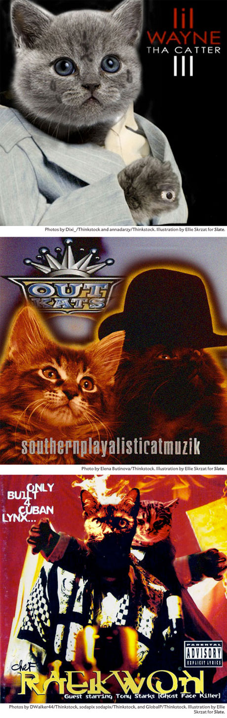 Classic Hip-Hop Album Covers Treated to Cat Makeovers │ Exclaim!