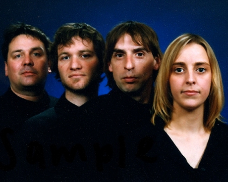 The Chills Celebrate 30th Anniversary with Live Album, Hometown New ...
