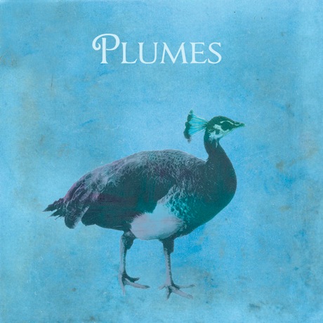 Plumes Map Out Canadian Tour Dates │ Exclaim!