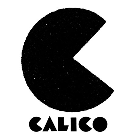 Slim Twig and U.S. Girls Open Up about Their Joint Label: Calico Corp ...