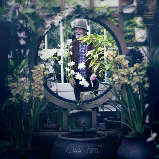 Quaaludes │ Exclaim!