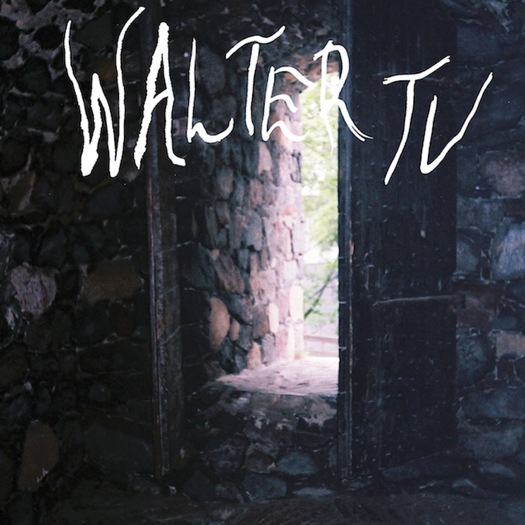 Walter TV Get 'Blessed' on New LP │ Exclaim!