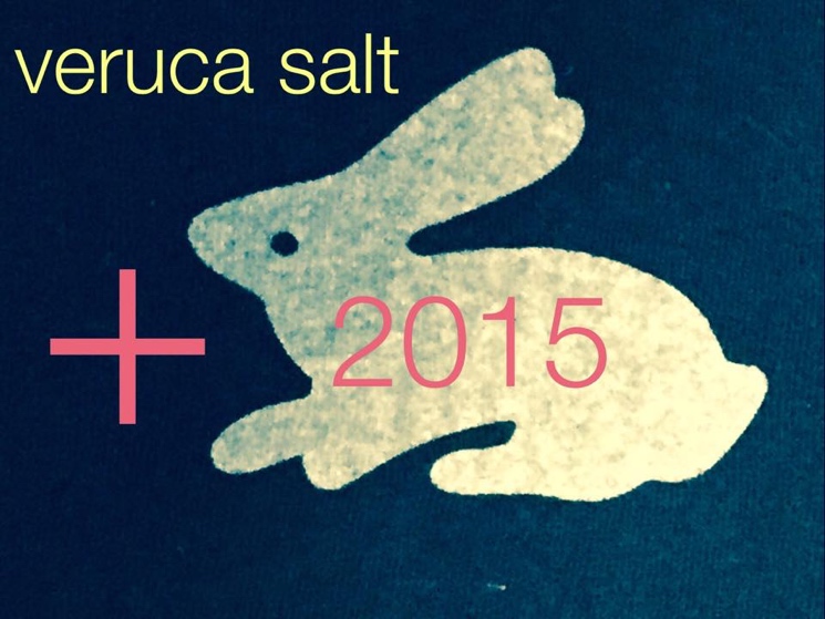 Veruca Salt Book North American Summer Tour | Exclaim!
