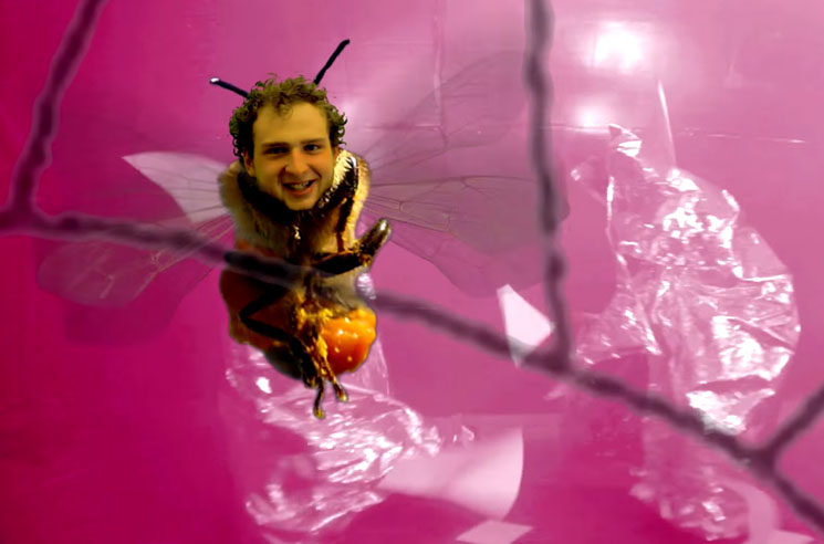 The Midwestern Charm │ Exclaim!