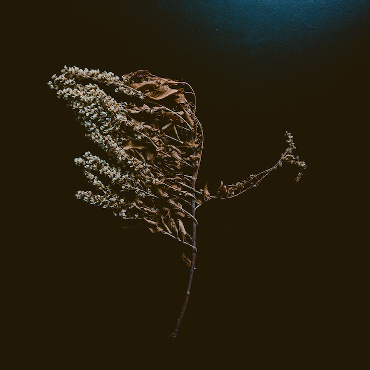 Calgary's Valiska Returns with 'Repetitions' │ Exclaim!