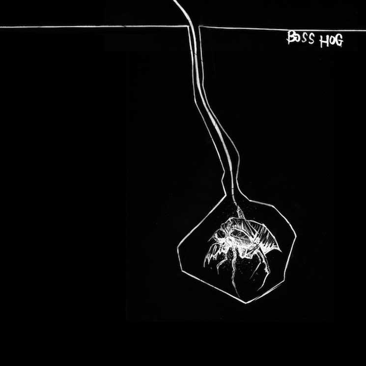 Boss Hog Return with First New Release in 16 Years │ Exclaim!