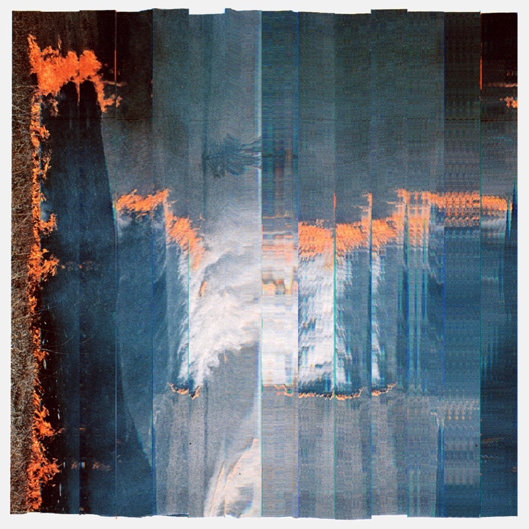 Bosveld │ Exclaim!