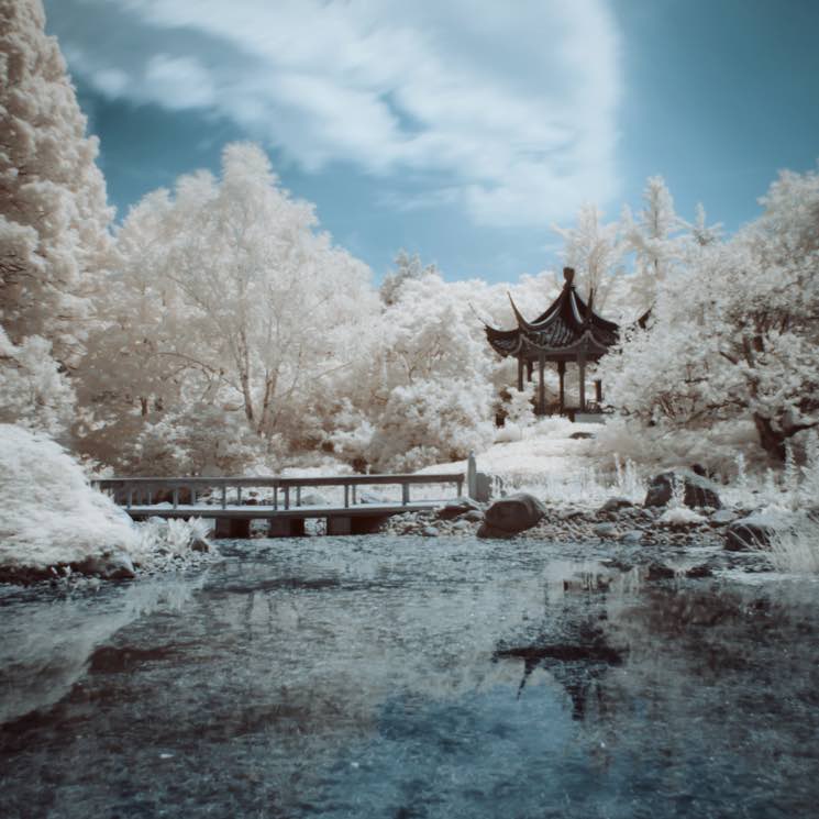 Hakobune & Nobuto Suda │ Exclaim!