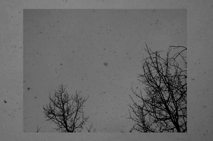 Nathan Shubert │ Exclaim!