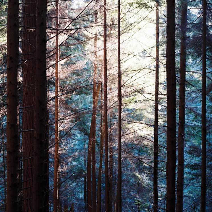 Lee Watson │ Exclaim!