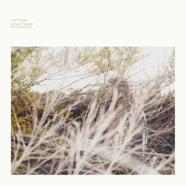 Luke Temple │ Exclaim!