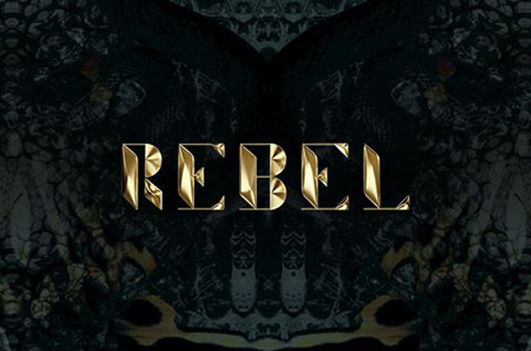 Teen Dies of MDMA Overdose at Toronto's Rebel Nightclub │ Exclaim!