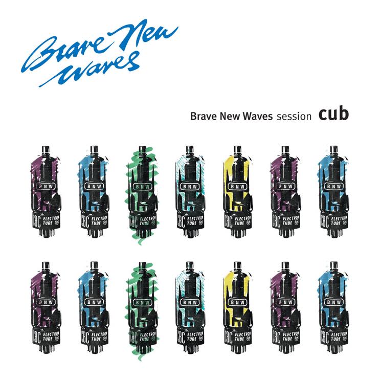 Stream Cub's 1993 'Brave New Waves' Session │ Exclaim!