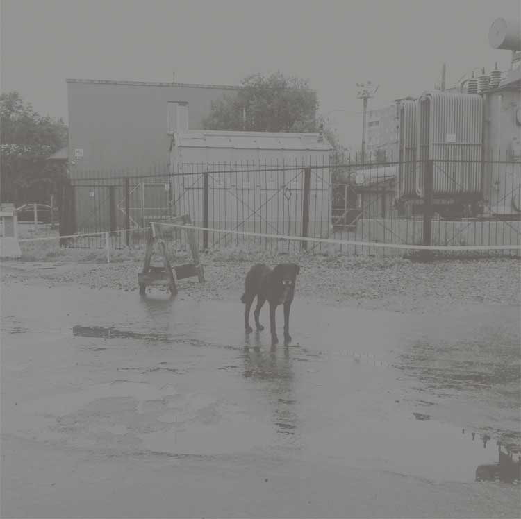 Grouper's Liz Harris Releases New Album as Nivhek │ Exclaim!