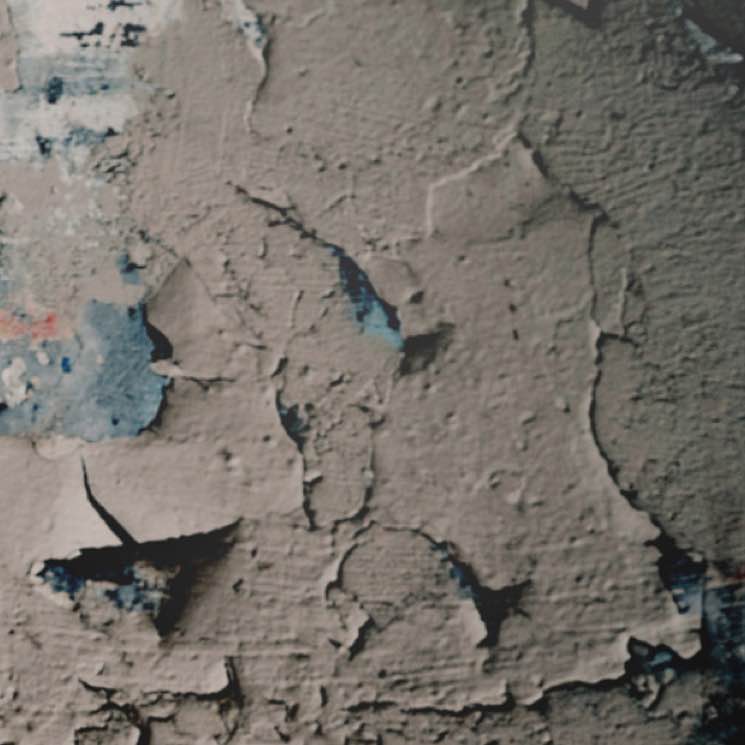 Andrew Forde │ Exclaim!