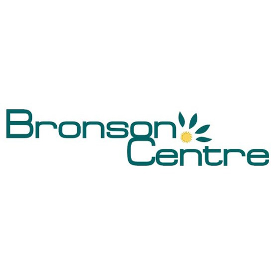 Ottawa's Bronson Centre Promises More Shows, Improvements with New ...