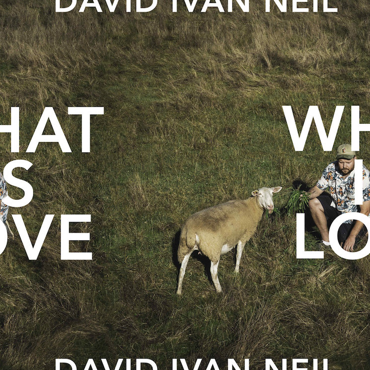 David Ivan Neil Asks 'What Is Love?' on Debut LP, Premieres New Music ...