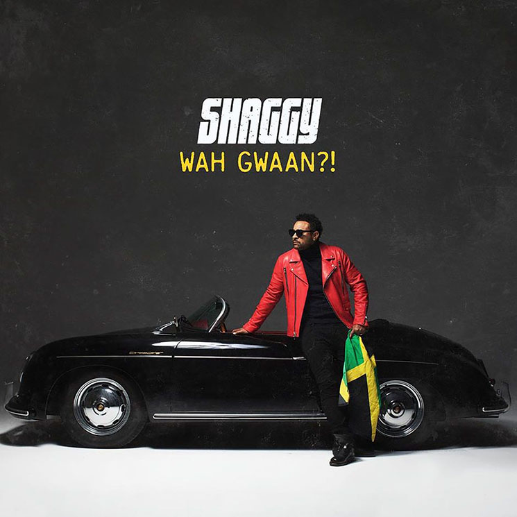 Shaggy │ Exclaim!