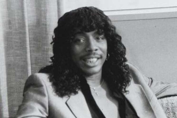 Rick James Is Getting His Own True Crime Series │ Exclaim!