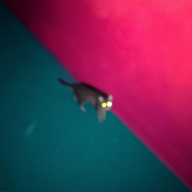 Ready New Album 'Wallop,' Share "Serbia Drums" │ Exclaim!