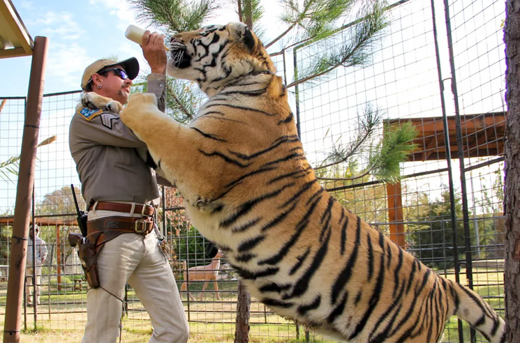Here Are the Details for the New 'Tiger King' Episode │ Exclaim!