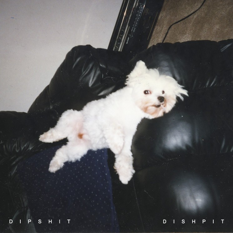 Montreal's DISHPIT Unleash Post-Punk Devastation on 'DIPSHIT' │ Exclaim!