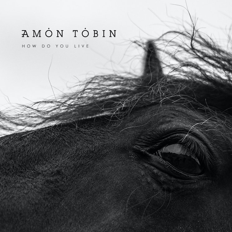 Amon Tobin Details New Album 'How Do You Live' │ Exclaim!