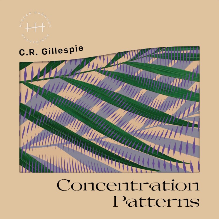 C.R. Gillespie's 'Concentration Patterns' Succeeds When Its Sound and ...