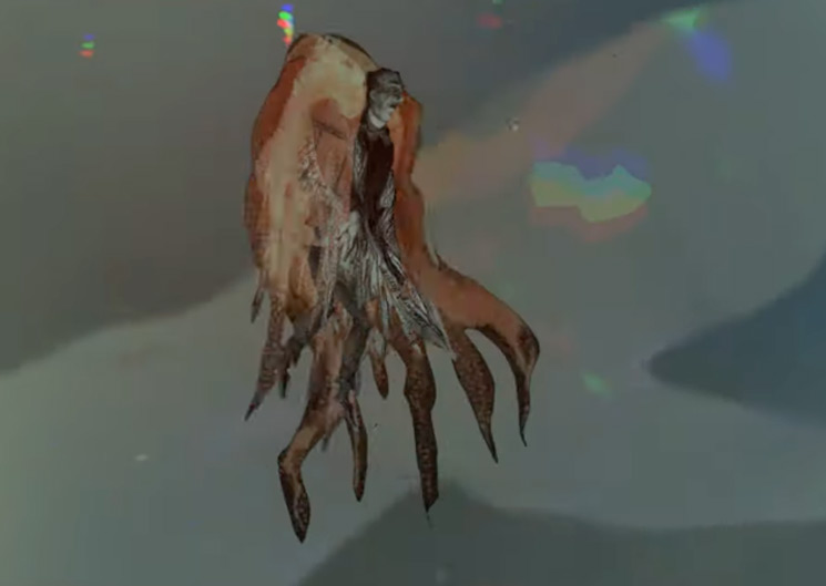 Wintersleep Deliver Animated New Video for "Free Fall" │ Exclaim!