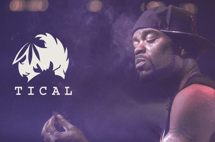 Method Man's New Cannabis Company Aims for Social and Economic Justice ...