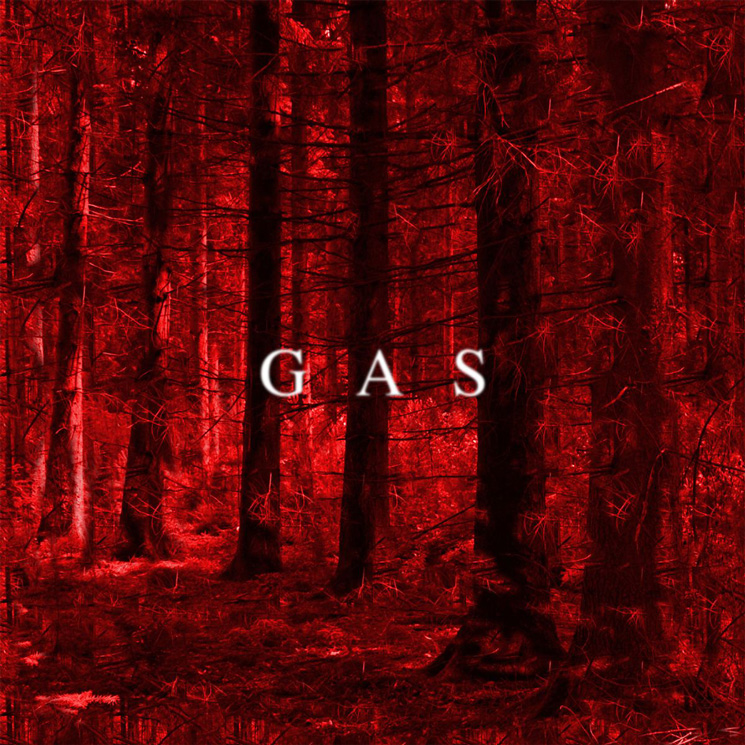Wolfgang Voigt Shares New GAS Song "Zeit" │ Exclaim!