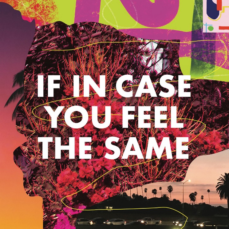 Thad Cockrell Leaves Country Traditionalism in the Past on 'If in Case ...