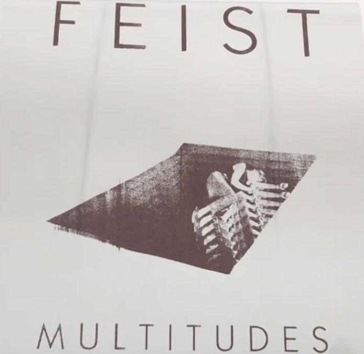 Feist to Debut New Music with 'MULTITUDES' Project │ Exclaim!
