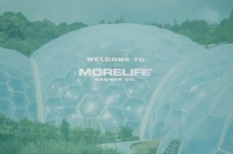 Drake Teases "More Life Growth Co." by Sending Out Bouquets of Flowers ...