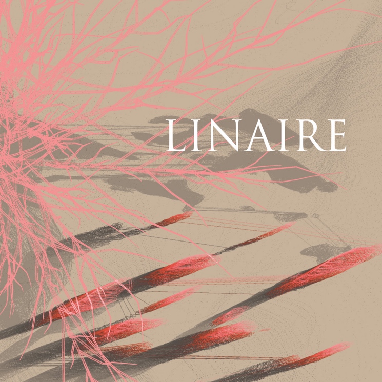 Linaire Arrives Fully Formed On Self Titled Debut │ Exclaim