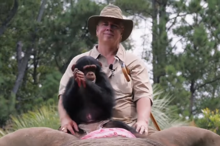 Doc Antle from 'Tiger King' Facing Felony Charges of Wildlife ...