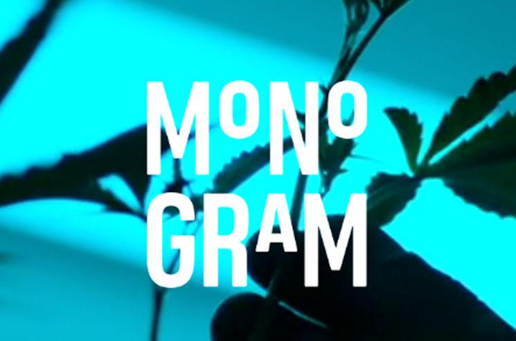 JAY-Z Officially Launches His Monogram Cannabis Brand │ Exclaim!