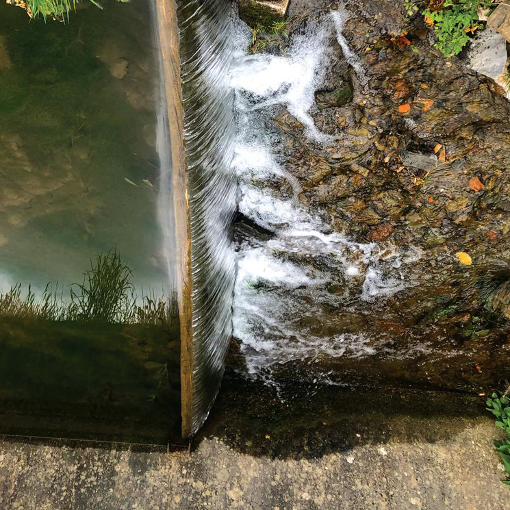 Jessica Moss Details New Album 'Phosphenes' │ Exclaim!