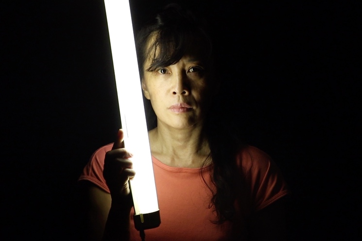 Sook-Yin Lee Is Directing a Movie Adaptation of Ex-Boyfriend Chester Brown's 'Paying for It ...