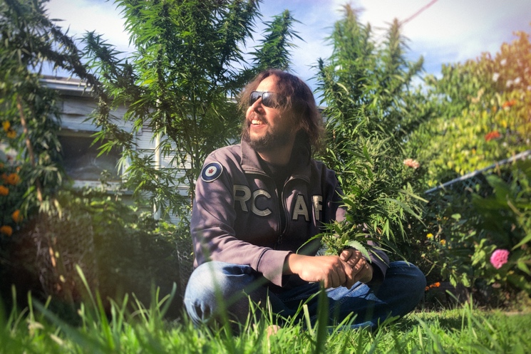 Flowers of Hell's Greg Jarvis Is a Canadian Cannabis Hero │ Exclaim!
