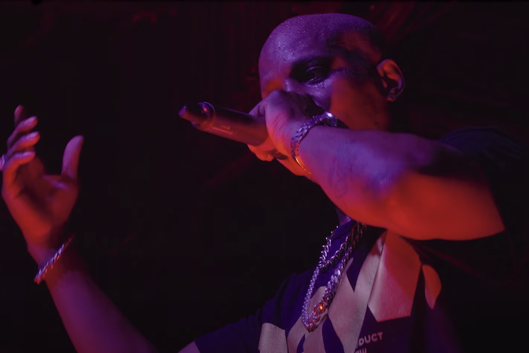 Watch the Trailer for 'DMX: Don't Try to Understand' │ Exclaim!