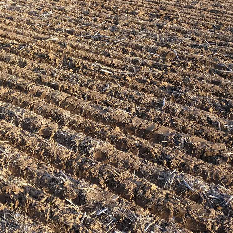 Furrows │ Exclaim!