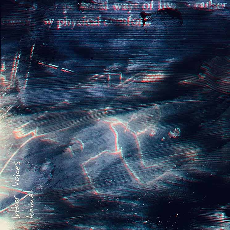 Indoor Voices │ Exclaim!