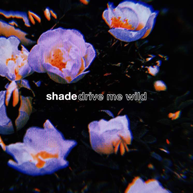 Shade Premiere "Drive Me Wild" Video │ Exclaim!