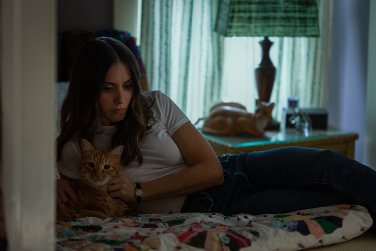 Here's Everything Coming to Prime Video Canada in February 2023 │ Exclaim!