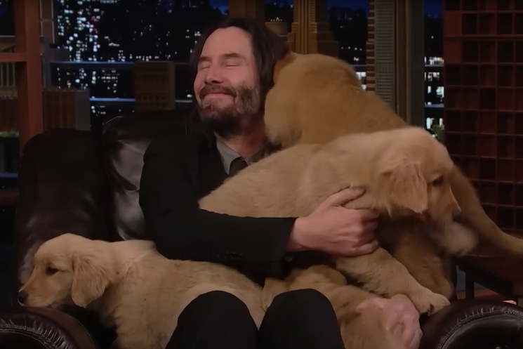 Watch Keanu Reeves Get Dogpiled by Puppies on 'The Tonight Show' │ Exclaim!