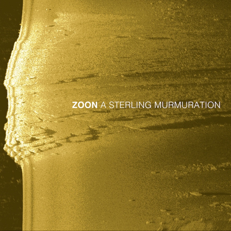 Zoon Surprise-Releases New EP 'A Sterling Murmuration' │ Exclaim!